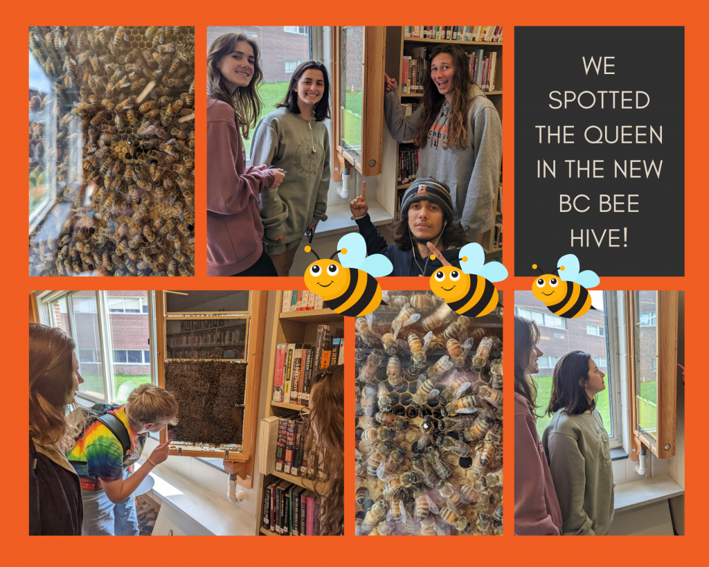 Long live the queen! Meet the BC bee hive - Bethlehem Central School ...